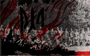 Ethnic Cleansing or Ethnic Cleansings? The Polish-Ukrainian civil war ...