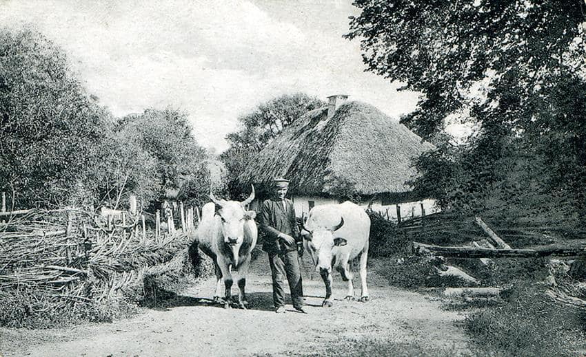 Rare postcards depict Ukrainian village life at turn of 20th century ...