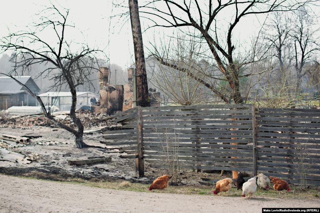 Whole villages burnt down as firefighters battle forest blazes in ...