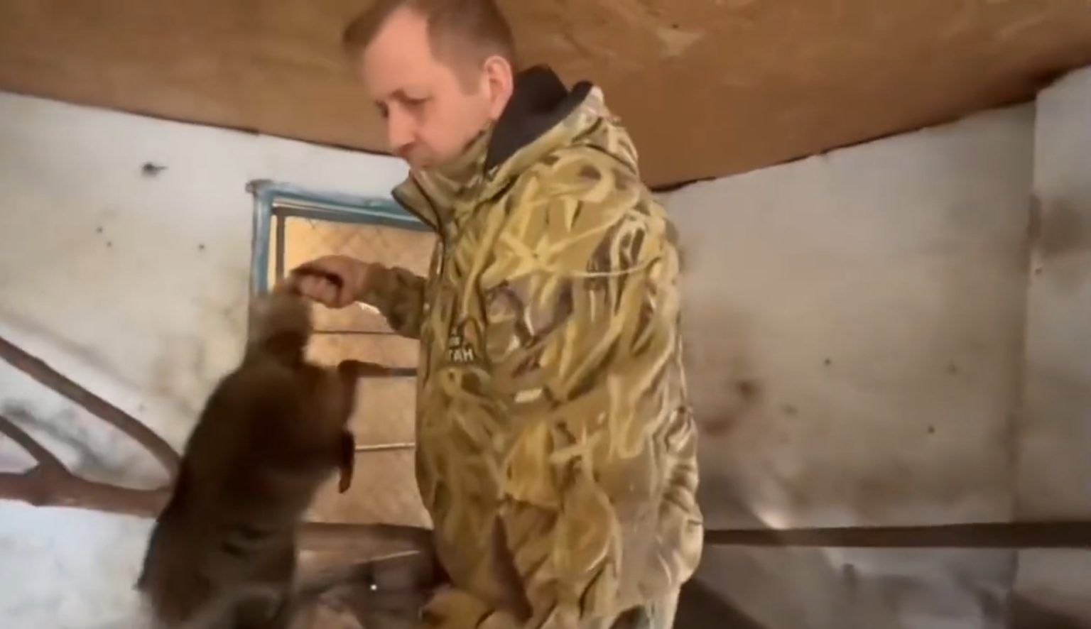 Russian occupiers proudly steal raccoon & rest of animals from Kherson ...
